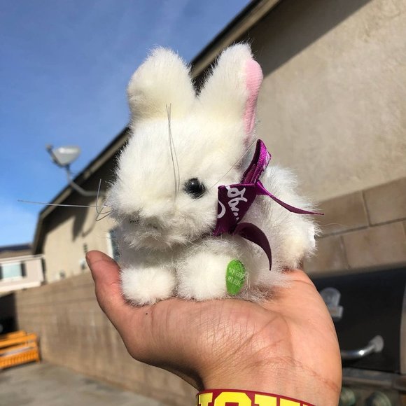 Toys | Mini White Bunny Plush | Poshmark